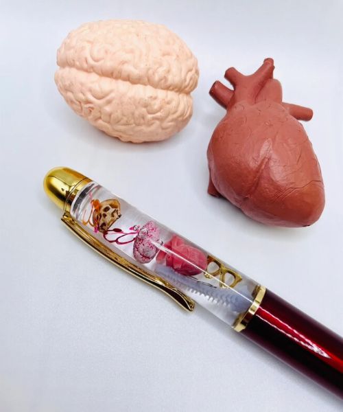 Miniature Human Anatomy Float Pen - ThingsFromMars.com